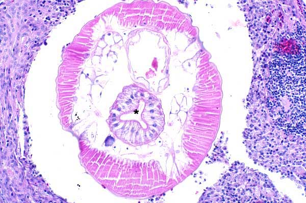 dp11ba10.jpg