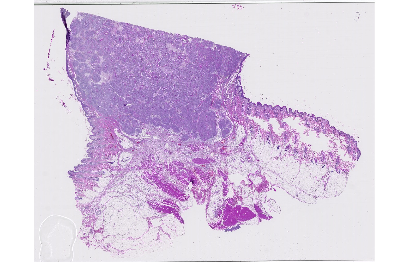 Read-Only Case Details Reviewed: Oct 2010