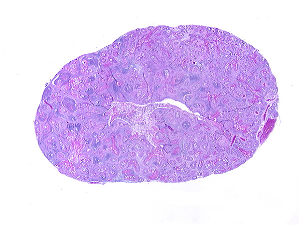 Read-Only Case Details Reviewed: Oct 2010