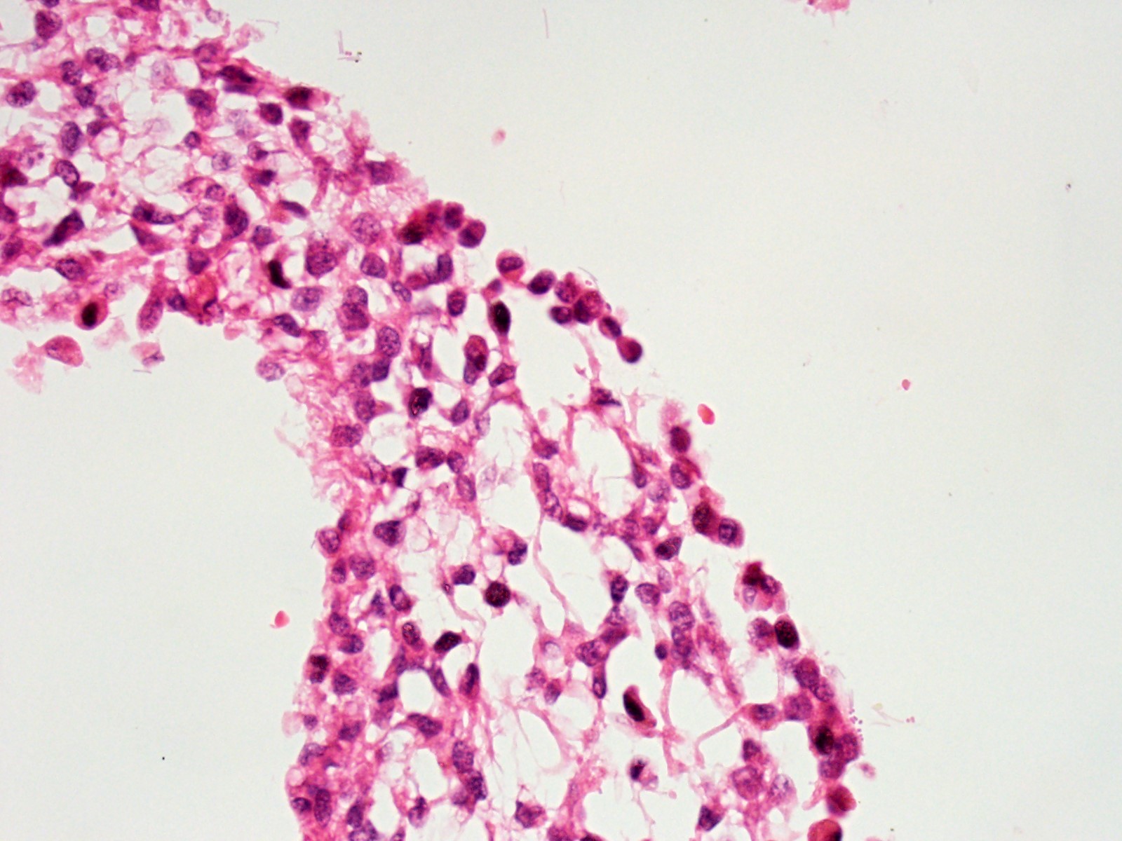 mn07_1_1_3.jpg