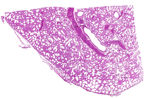 Read-Only Case Details Reviewed: Nov 2008